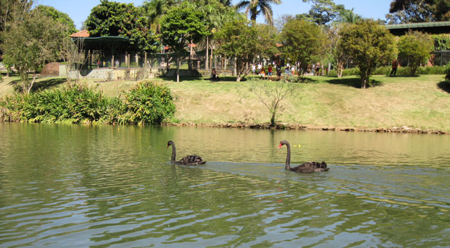Vale Verde Alambique e Parque Ecológico | aventure-se.com